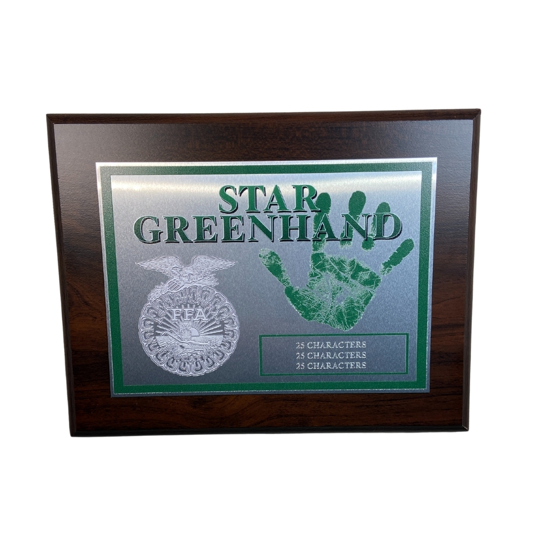 STAR GREENHAND PLAQUE SILV/7X9 - 01661-097X9