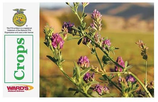 Instruction Materials - Shop FFA