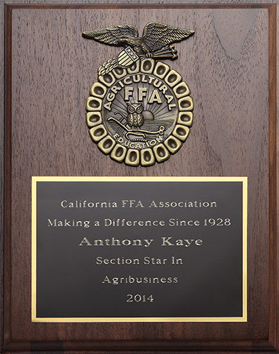 WALNUT CAST EMBLEM PLAQUES - W810